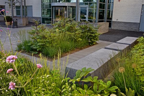 Schellevis® sokkel Carbon 90x50x15 cm | Burman Sierbestrating